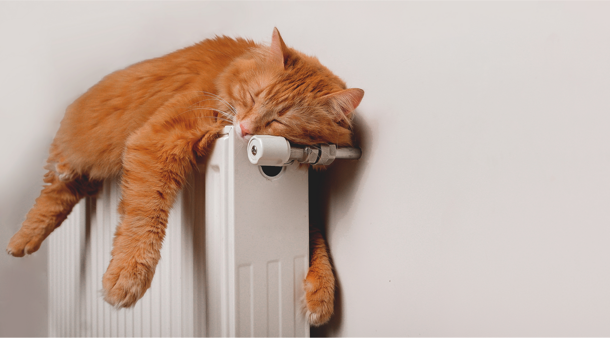 Lazy worker: Key traits, impact, and management strategies to implement ...