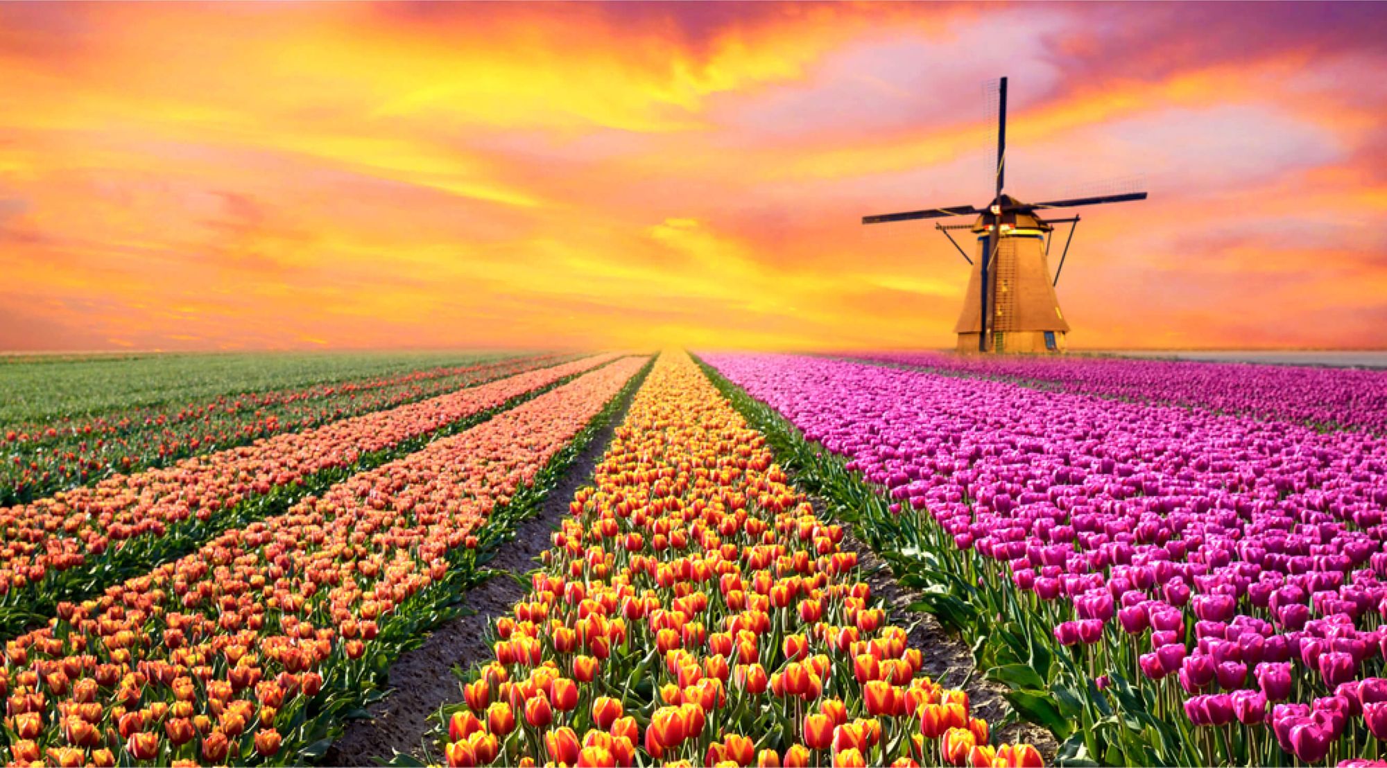 25+ ideal characteristics of a good work environment employees want to work