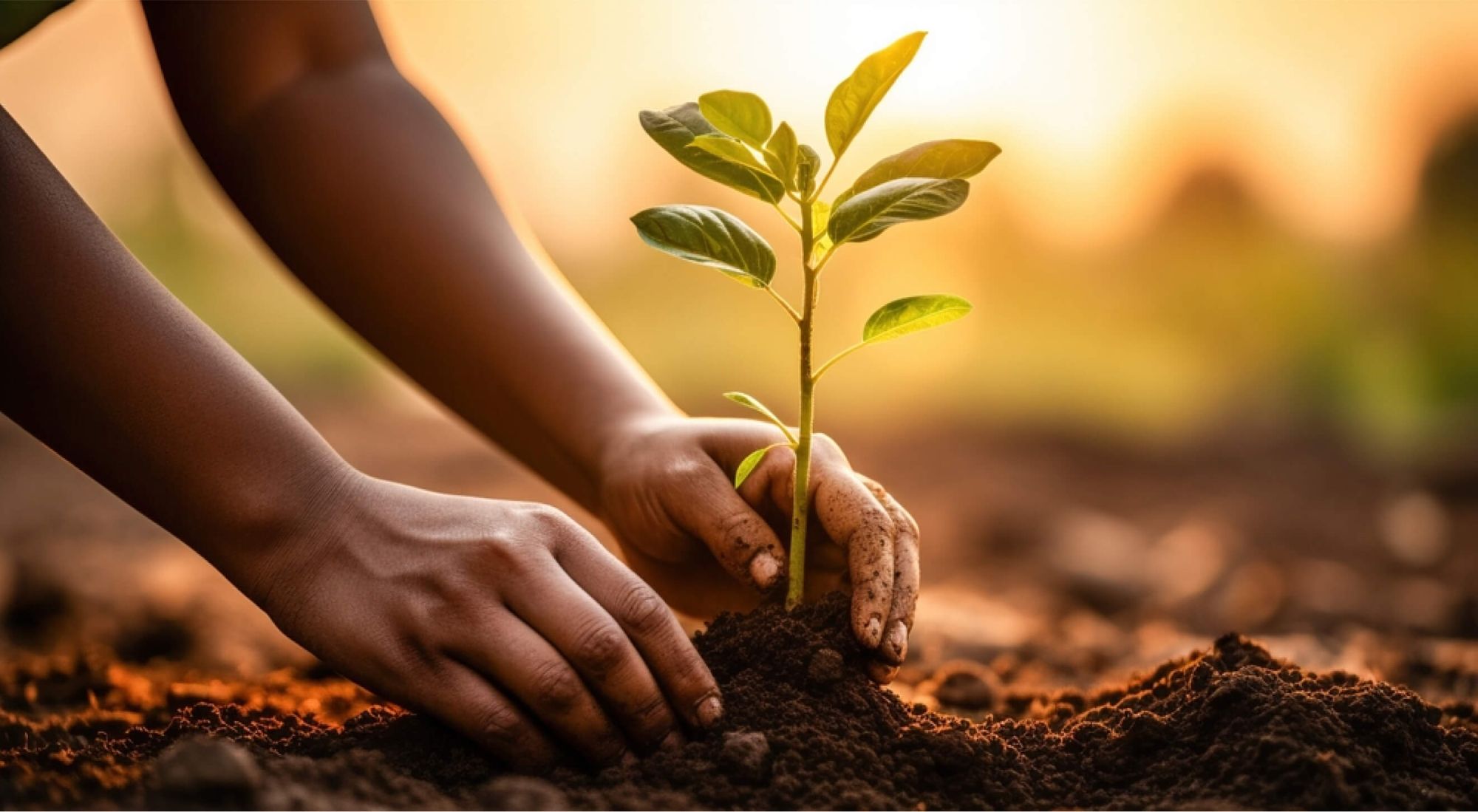 The role of employee commitment in boosting engagement and reducing ...