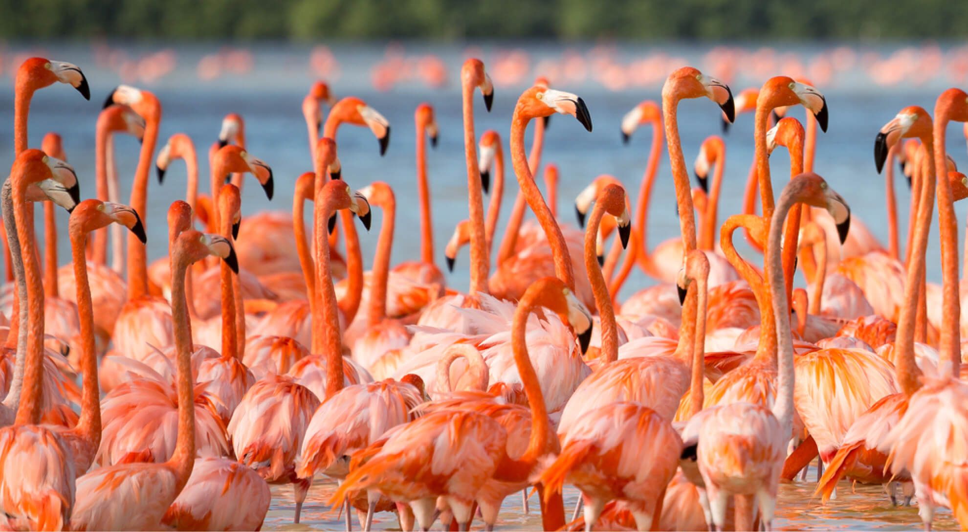 What is a clan culture: Benefits & top examples to take inspiration ...