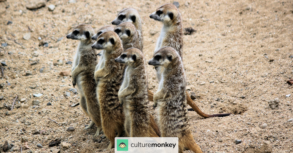 Everything You Need to Know About Employee Engagement Committee