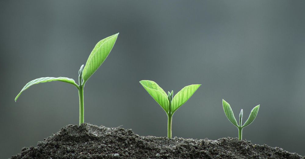 What is an employee tenure: Importance and top strategies to improve ...