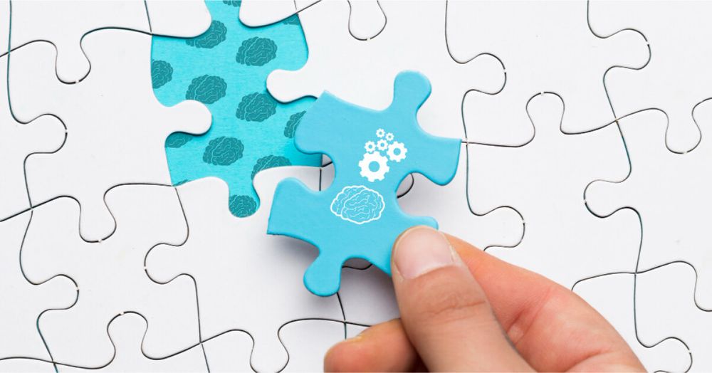 What are employee needs: How to understand and empower employees better ...