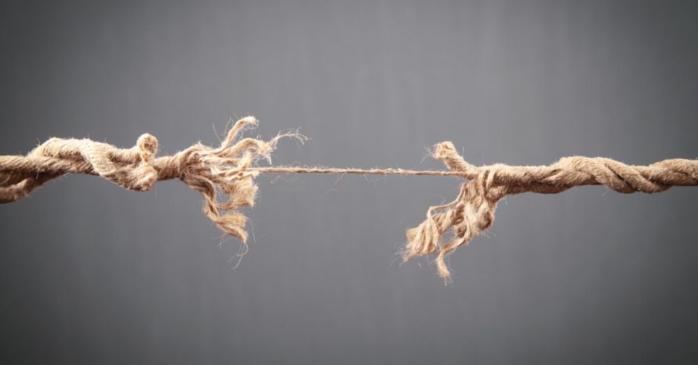 Why employee strengths are the foundation of workplace success