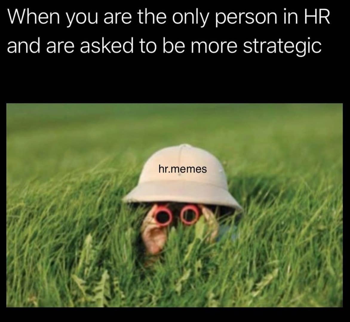 Human resources meme: How HR humor is shaping workplace culture in 2025