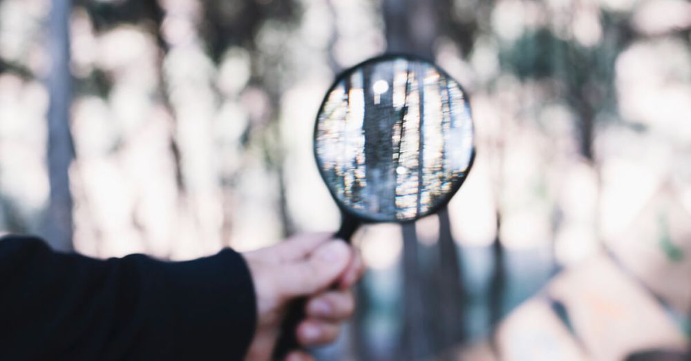 Understanding contrast bias in hiring, evaluation, HR practices and more