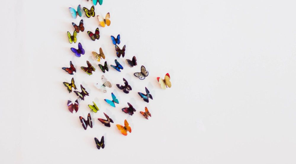 Cultural competence in the workplace: Build inclusive teams in 2026