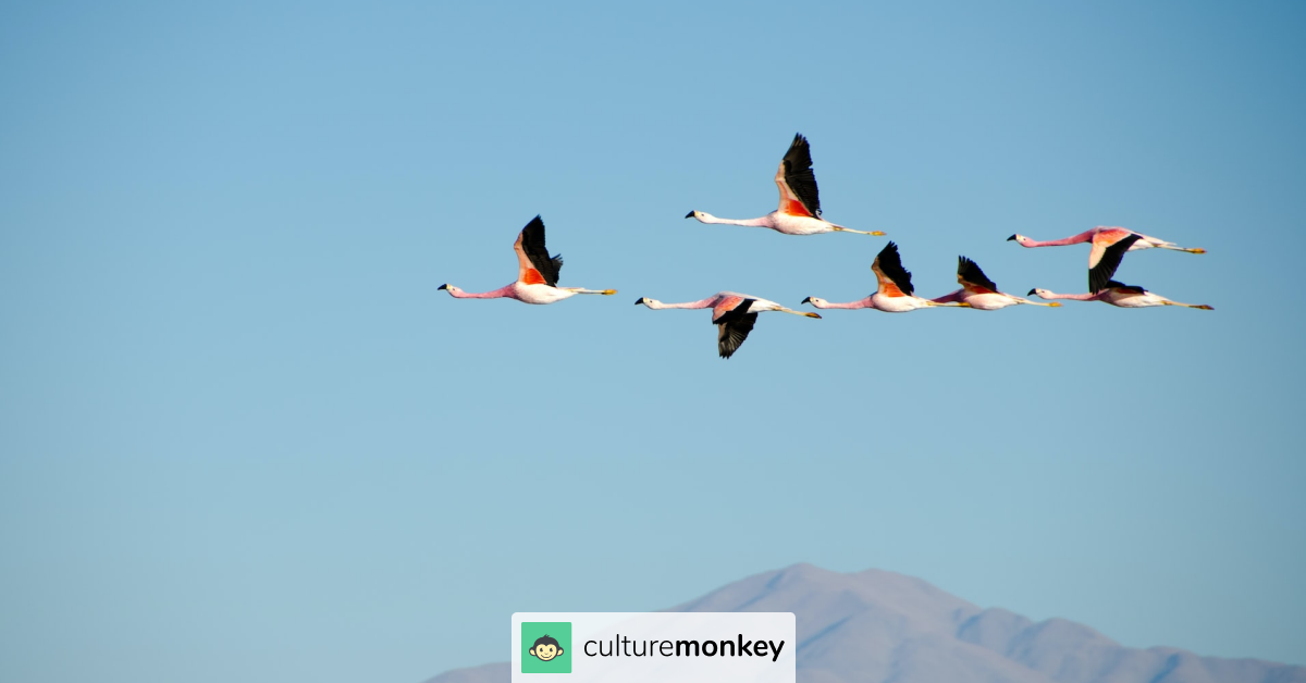 Everything You Need to Know About Employee Engagement Committee