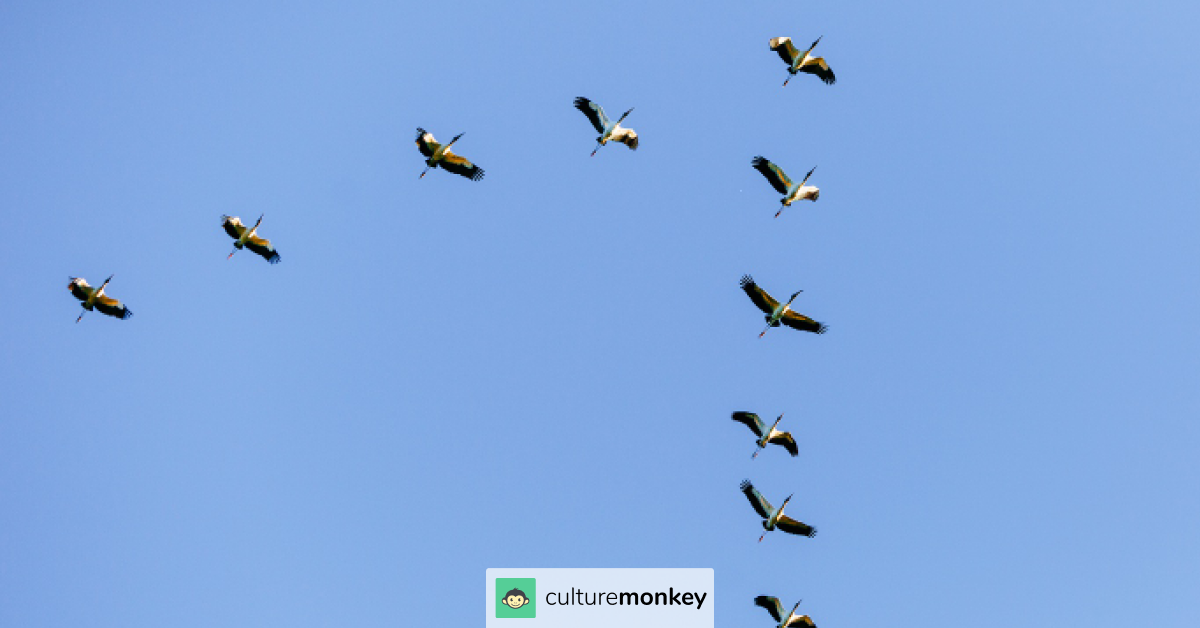 Everything you need to know about employee engagement committee