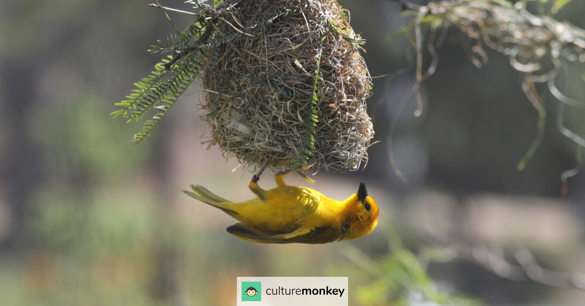 Everything you need to know about employee engagement committee