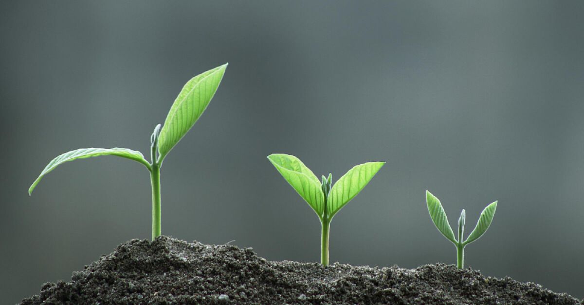 What is an employee tenure: Importance and top strategies to improve ...