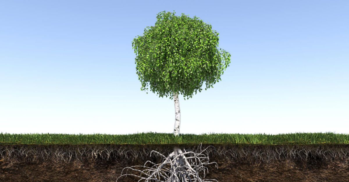 What are the levels of employee engagement and why do they matter