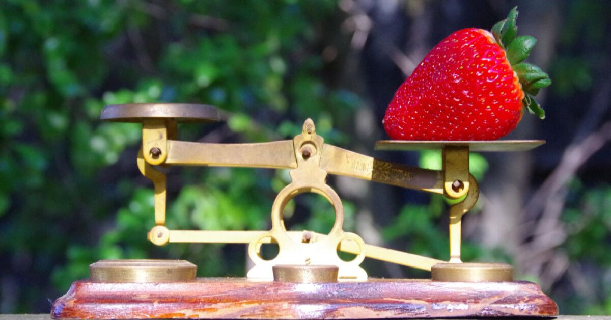 Authoritarian leadership in the workplace: Definition, examples, and HR ...