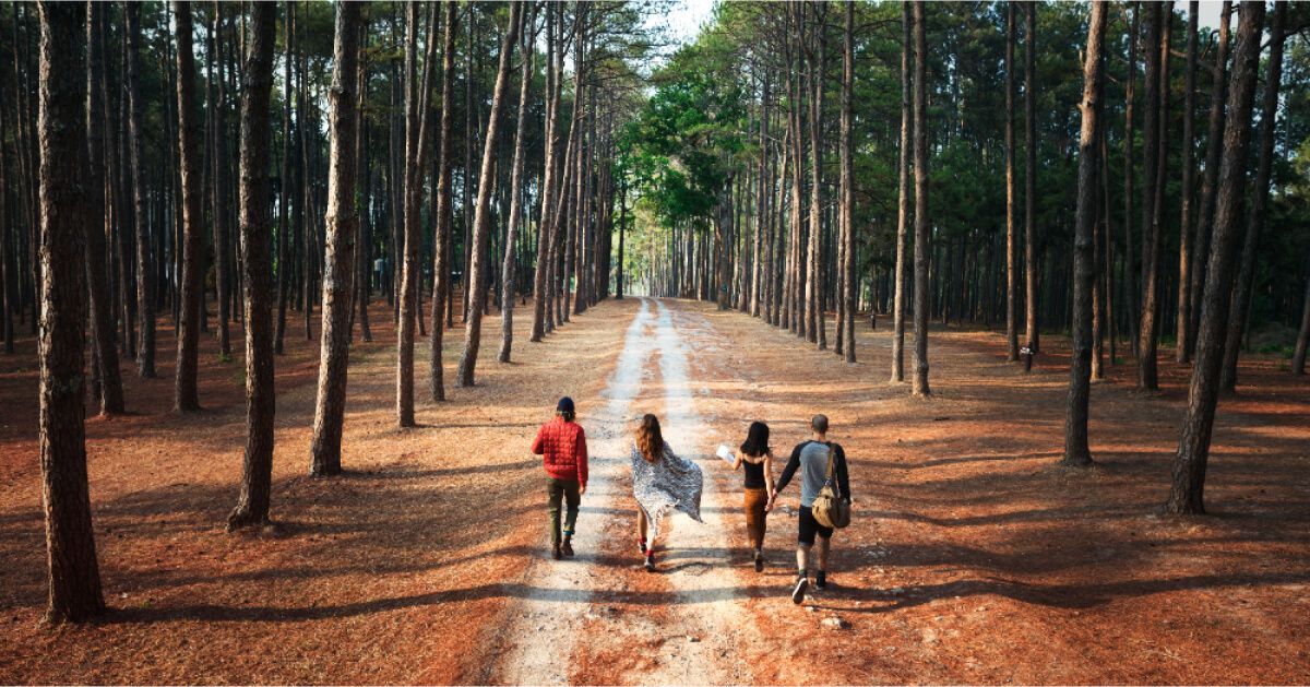150+ Outdoor team-building activities, events, and games for employees ...