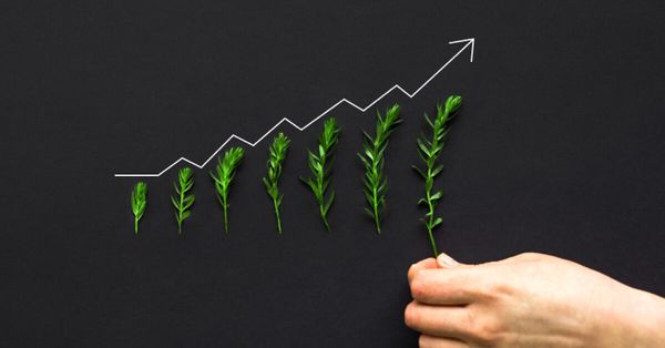 15+ Examples of employee engagement success stories from leading ...