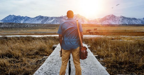 Employee experience program: How to design, implement, and optimize it ...