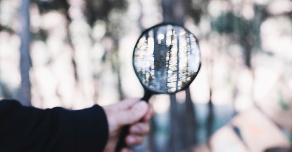 Understanding contrast bias in hiring, evaluation, HR practices and more