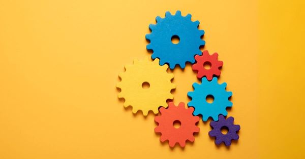 How a training matrix helps track and grow team skills