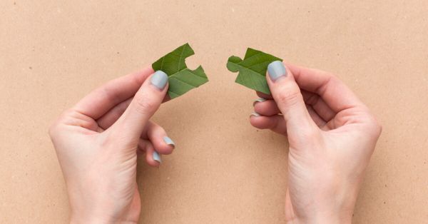 Internal equity: Why fair pay matters more than ever in the modern ...