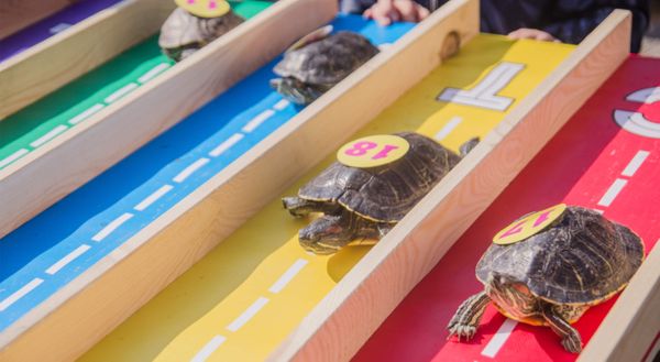 How to manage a fast-paced work environment efficiently without burning ...