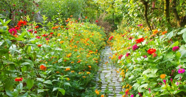 75+ Team theme ideas to try at work for increased collaboration in 2025