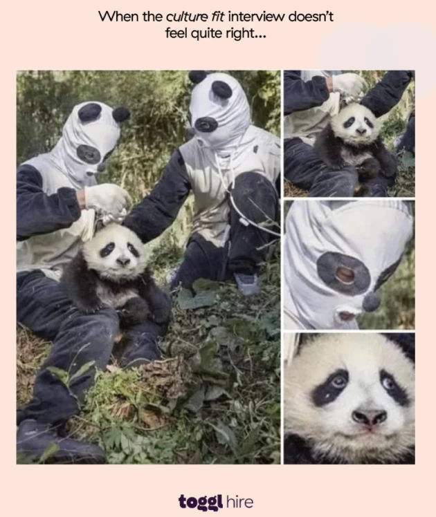 Human resources meme: How HR humor is shaping workplace culture in 2025